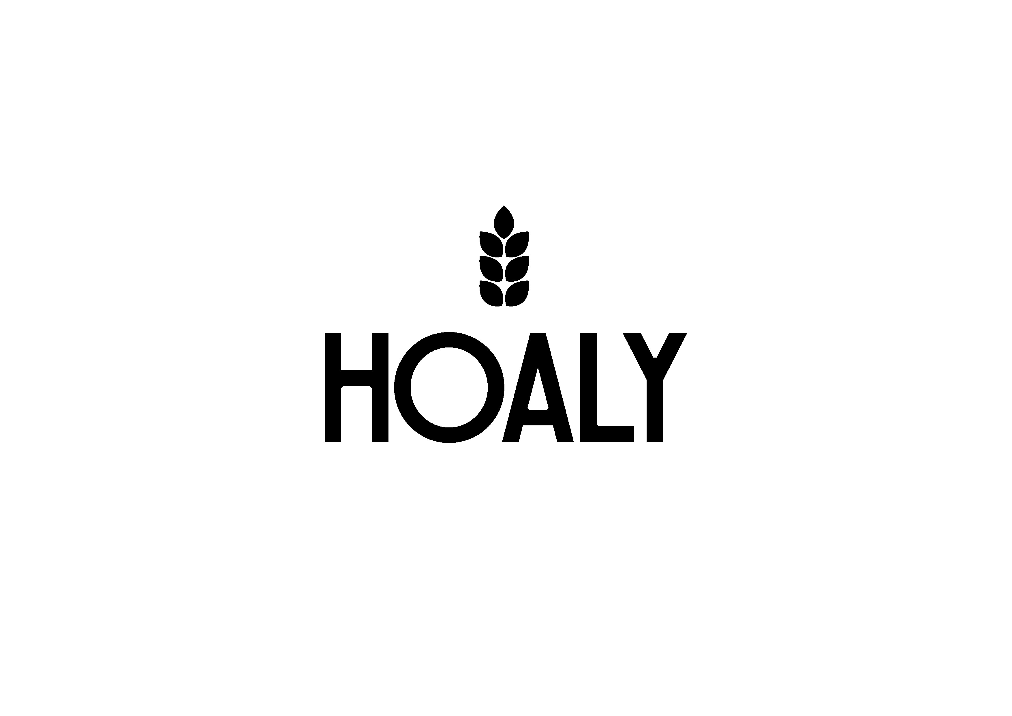 Hoaly Foods GmbH - Startup profile - Investment data - Vevolution