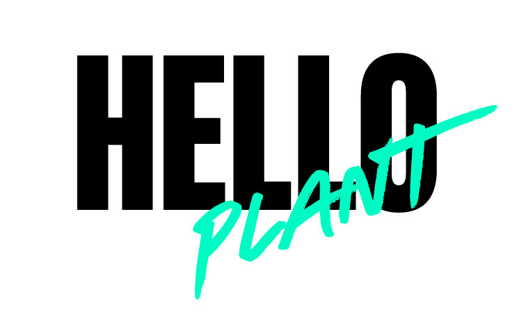 HELLO PLANT FOODS - Startup profile - Investment data - Vevolution